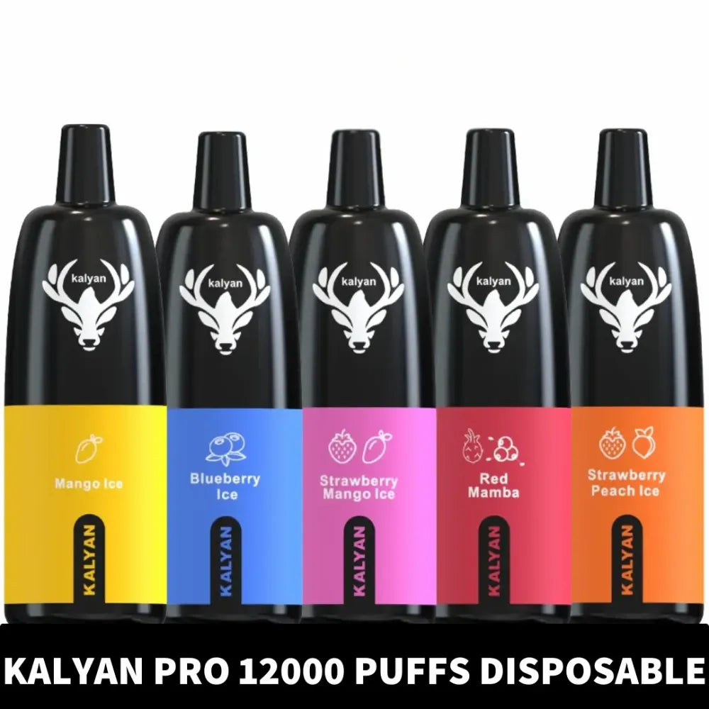 Kalyan Pro 12000 Puffs Disposable Vape – Vape Shop Online in Dubai
